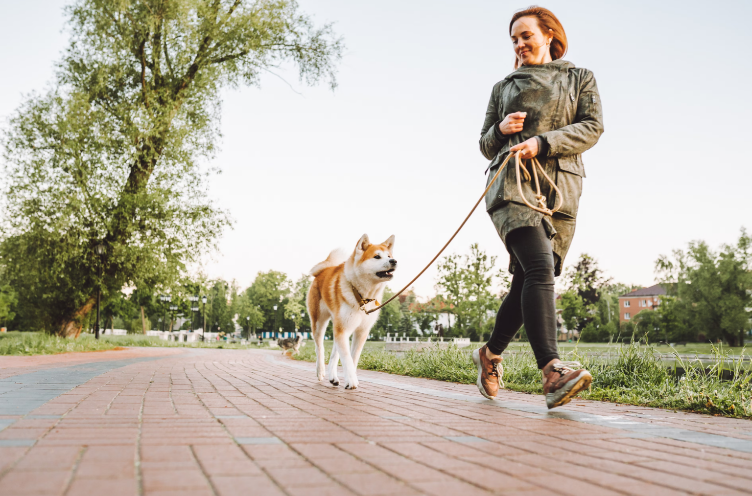 The Ideal Morning Routine for Health and Productivity